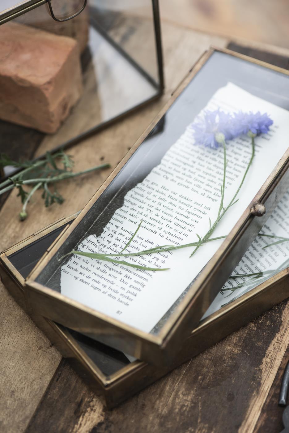 Glasschachtel GOLD - Elas Dekoideen